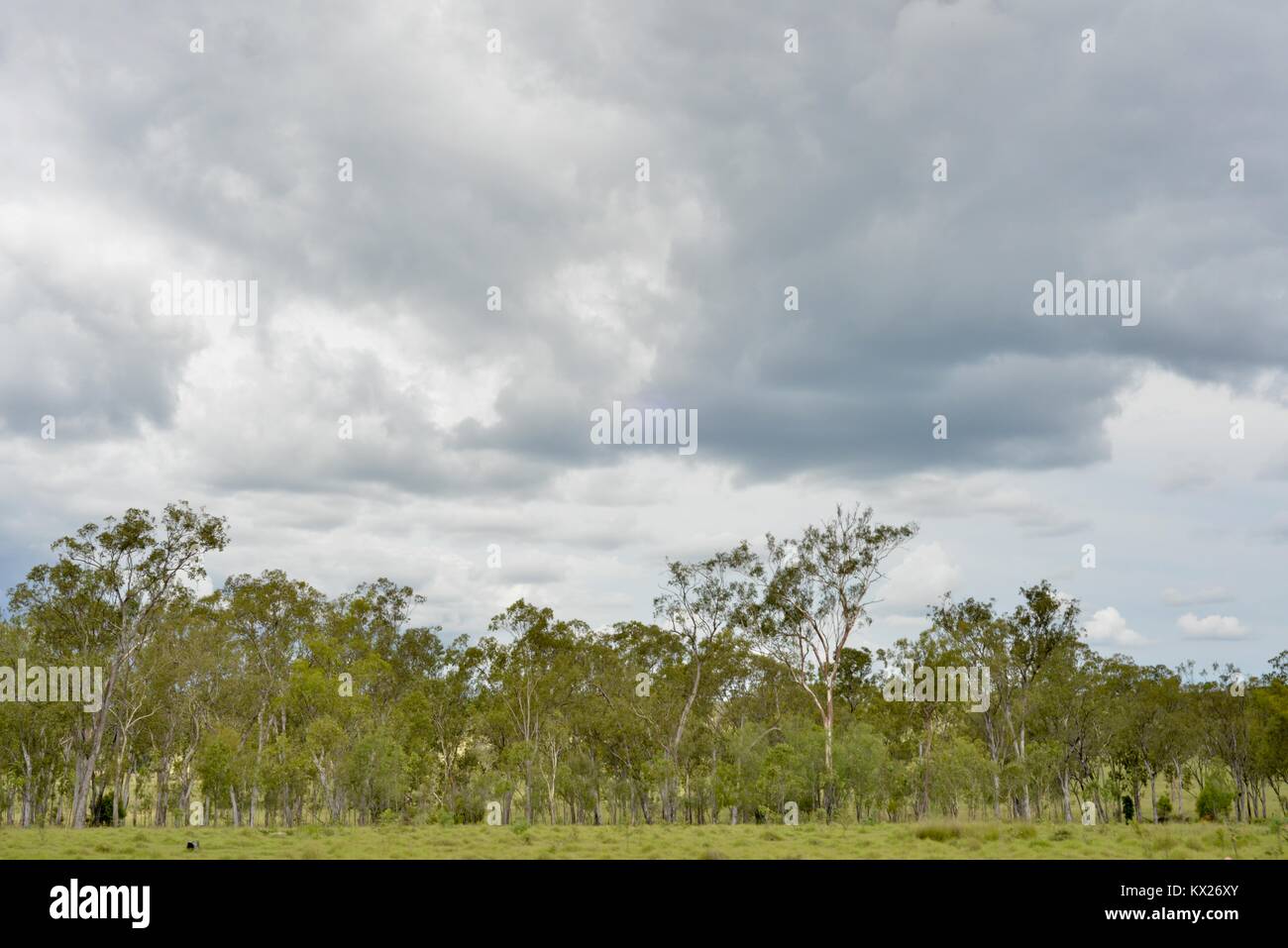 Rural scenes from country australian landscapes, Queensland, Australia ...