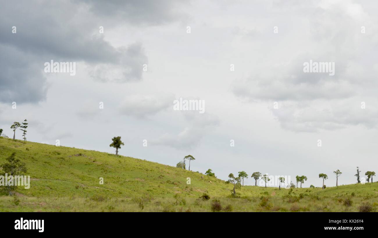Rural scenes from country australian landscapes, Queensland, Australia ...