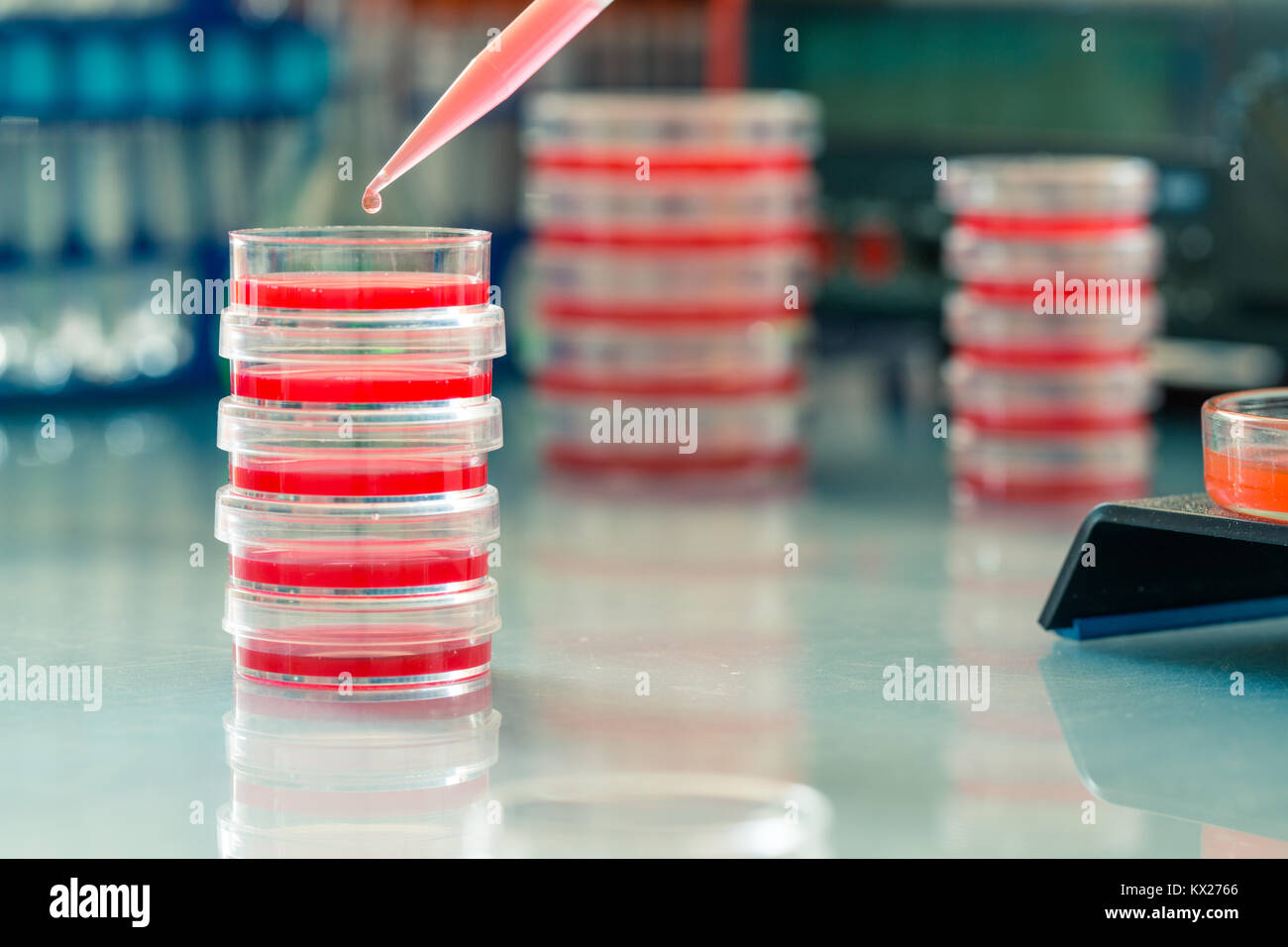 Laboratory of polymer chemistry Stock Photo - Alamy