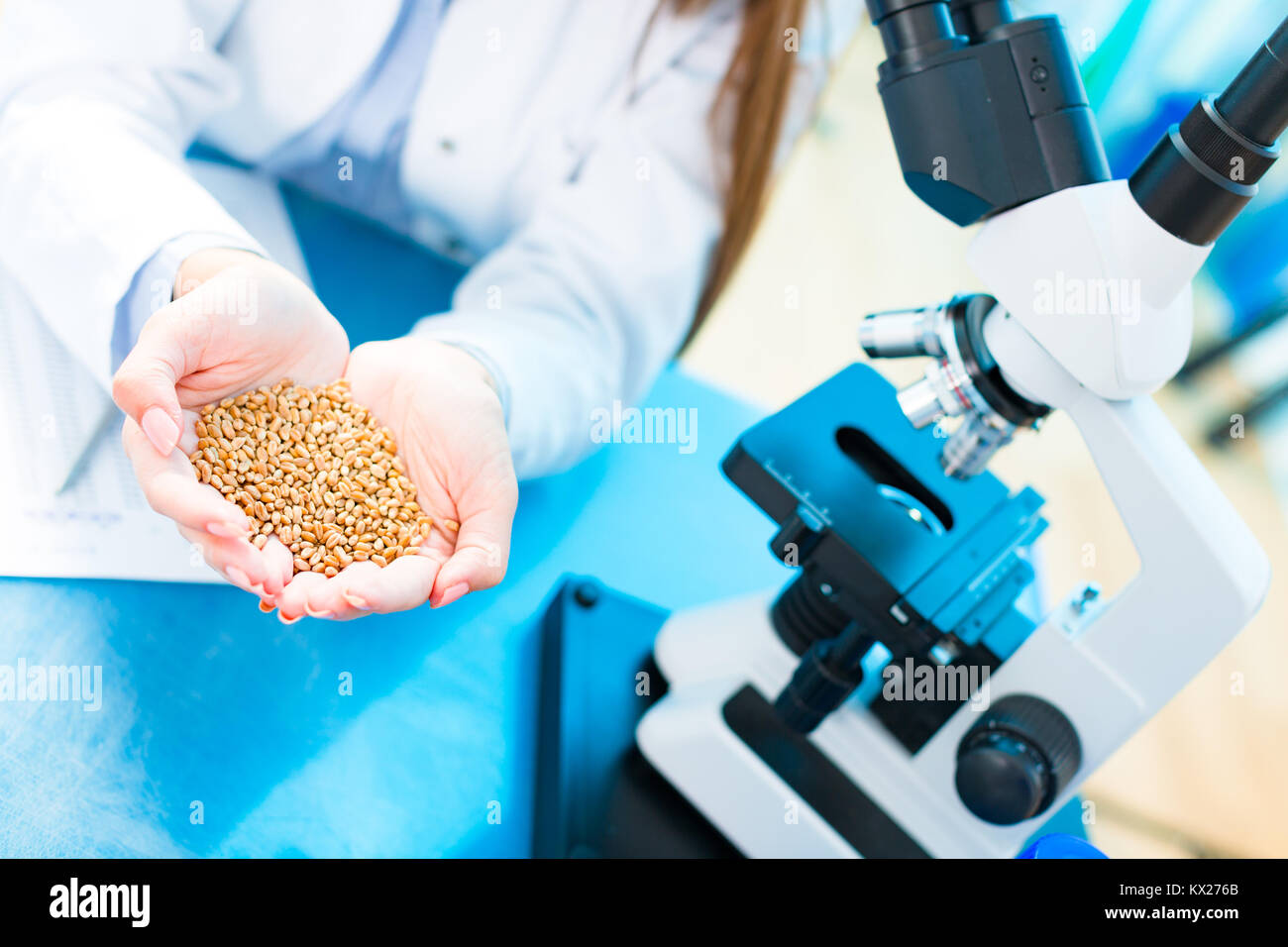 Selective and genetic work with seeds and grains in a scientific ...