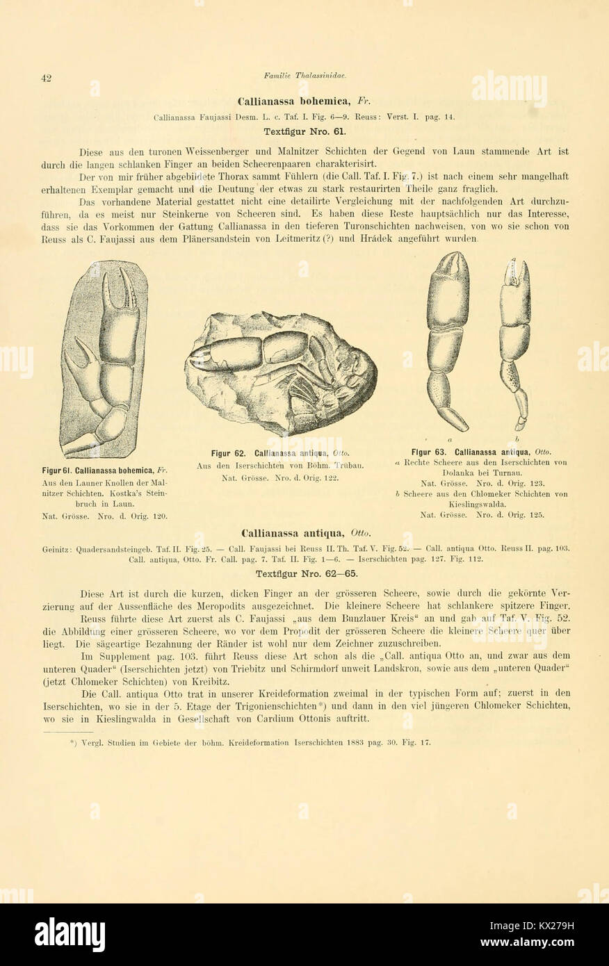 The scientific work 'Die Crustaceen der Böhmischen Kreideformation ...