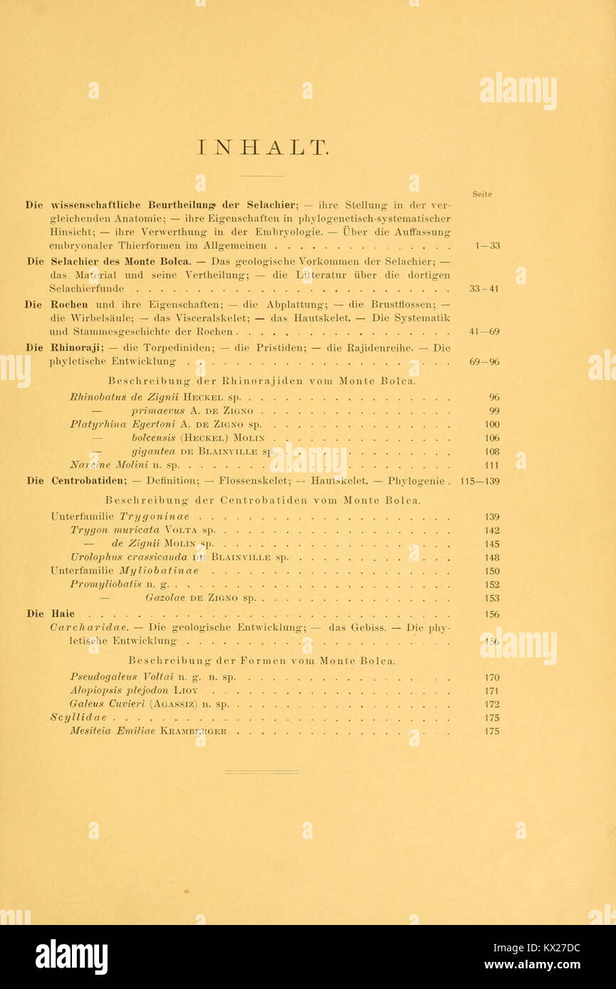 This image displays fossilized eocene sharks from Monte Bolca ...