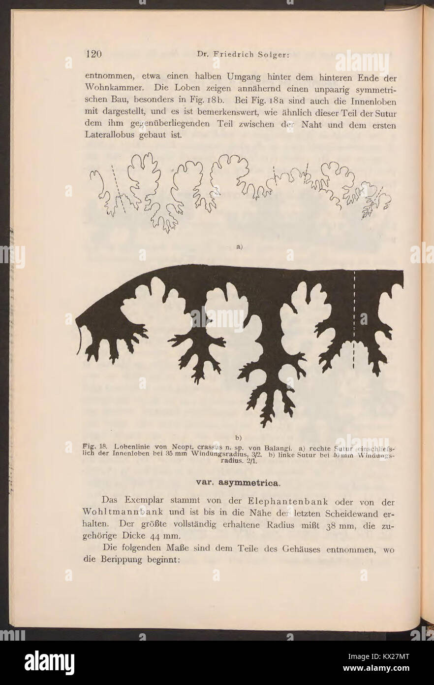 A geological study on the formations of Cameroon, analyzing rock types ...