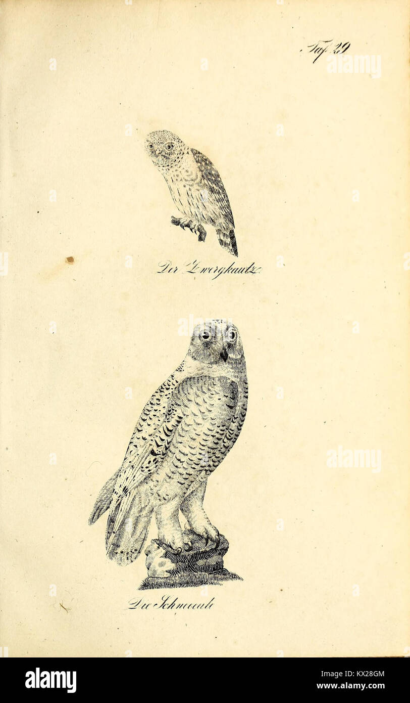 The illustration provides precise visual and textual documentation of ...