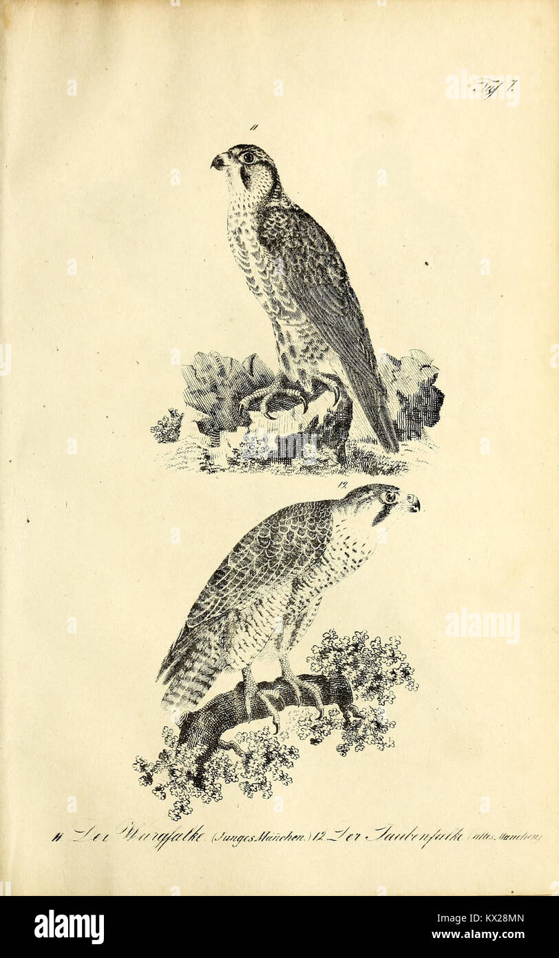 Work provides detailed accurate hi-res stock photography and images - Alamy