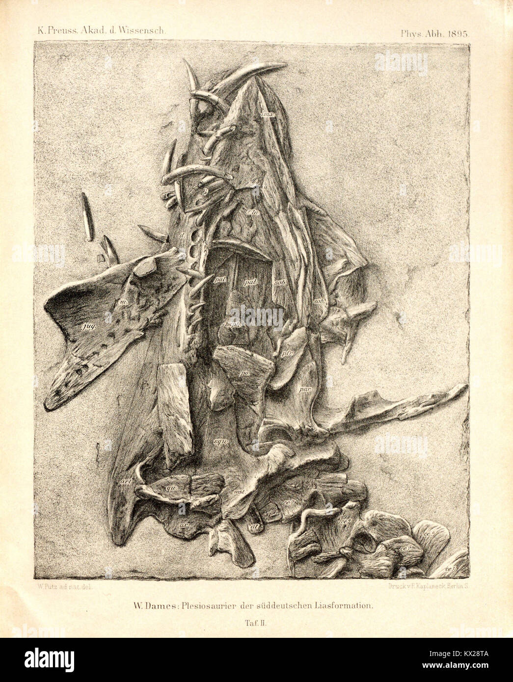 Lias formation hi-res stock photography and images - Alamy