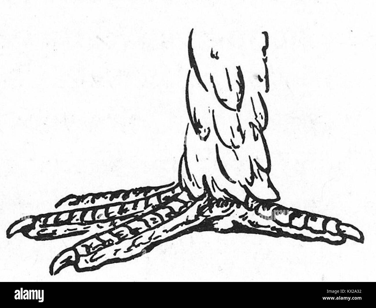 Peace freedom Black and White Stock Photos & Images - Alamy