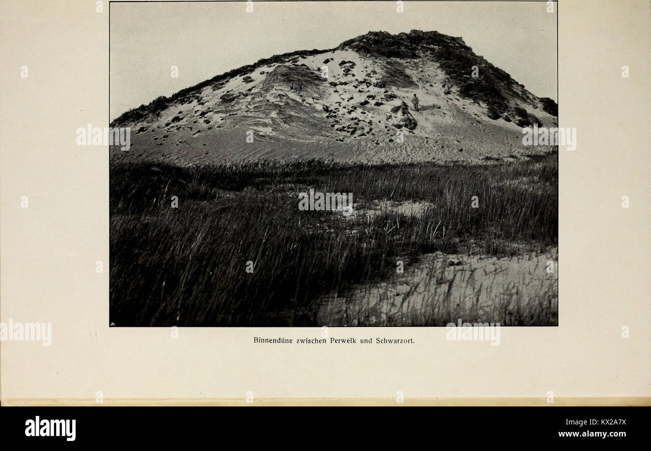 The Rossitten Bird Observatory of the German Ornithological Society ...