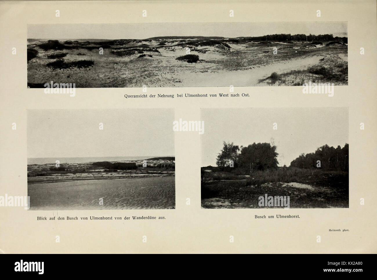 The Rossitten Bird Observatory, part of the German Ornithological ...