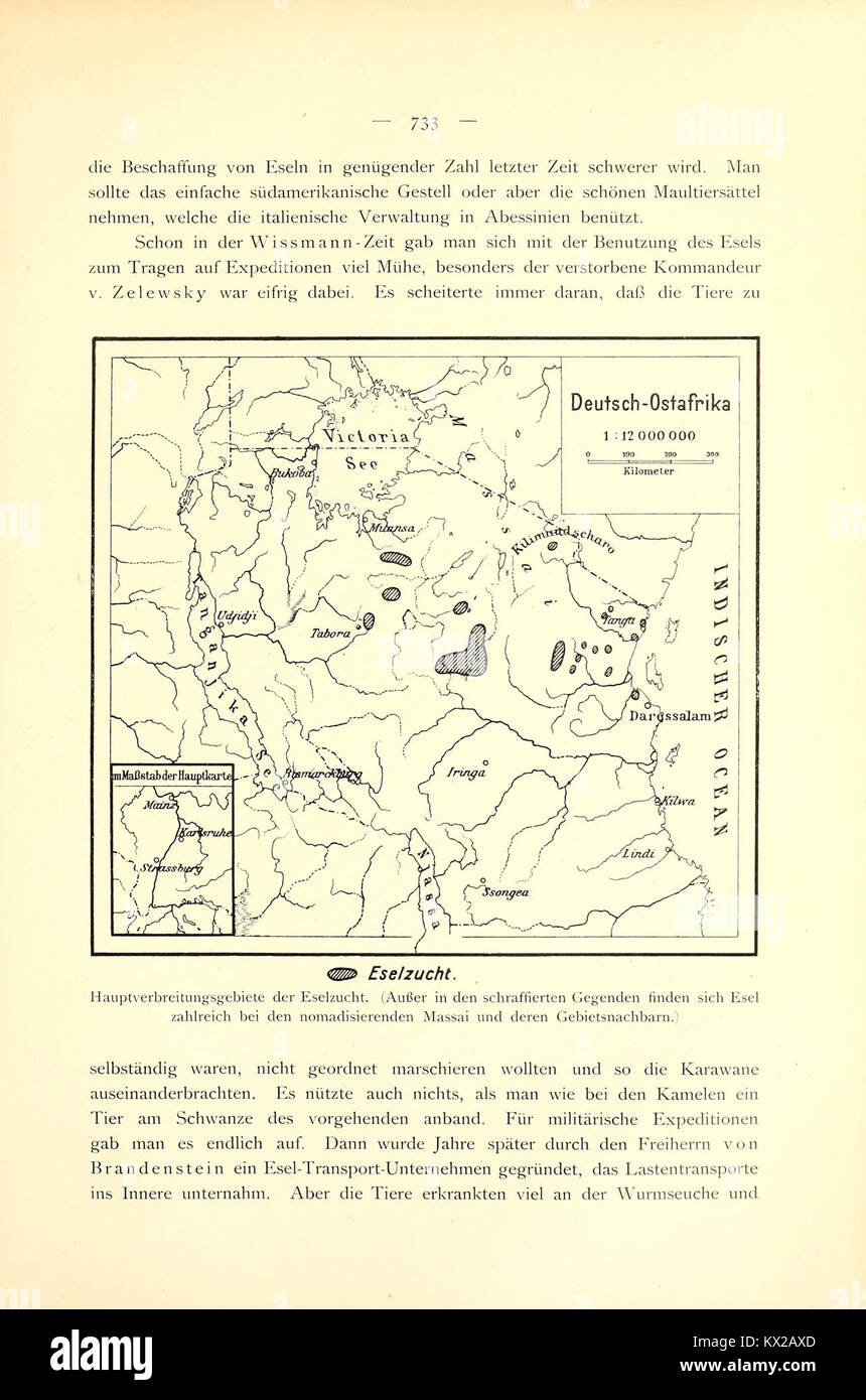 Kulturgeschichte cultural history in hi-res stock photography and ...