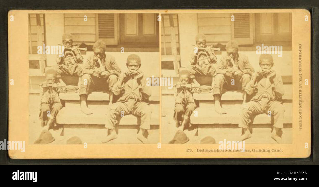 Distinguished southerners, grinding cane. (Children chewing sugar cane ...