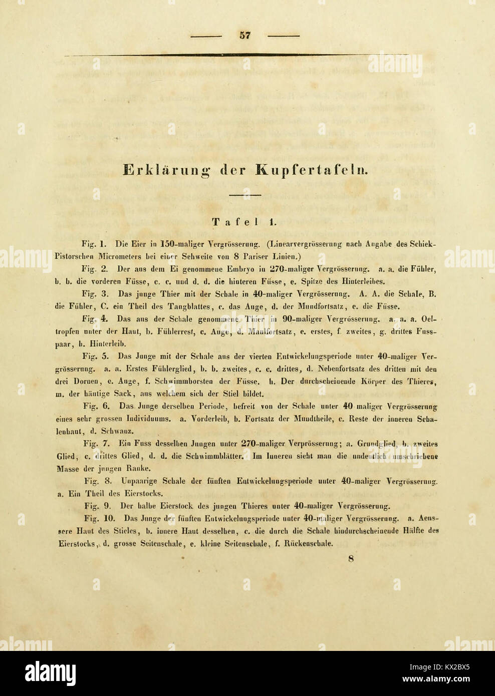 Scientific study of barnacles (Cirripedia), illustrating species ...