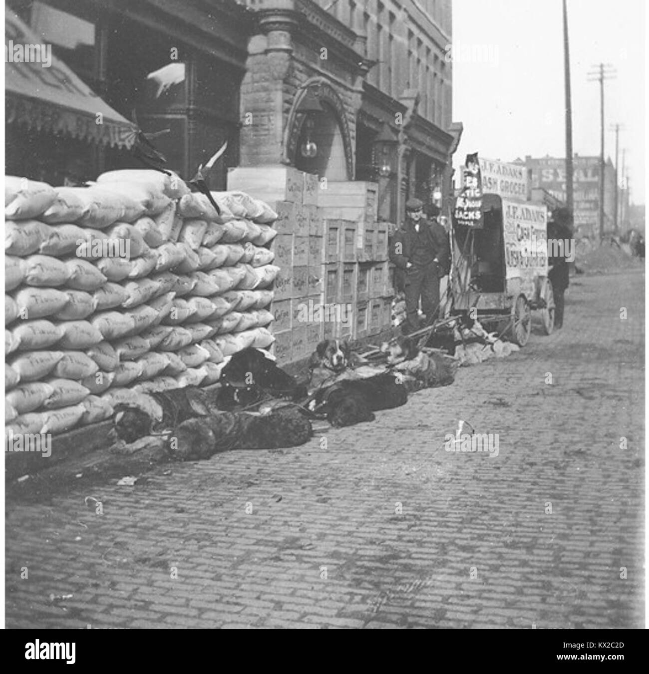 Dog supplies Black and White Stock Photos & Images - Alamy