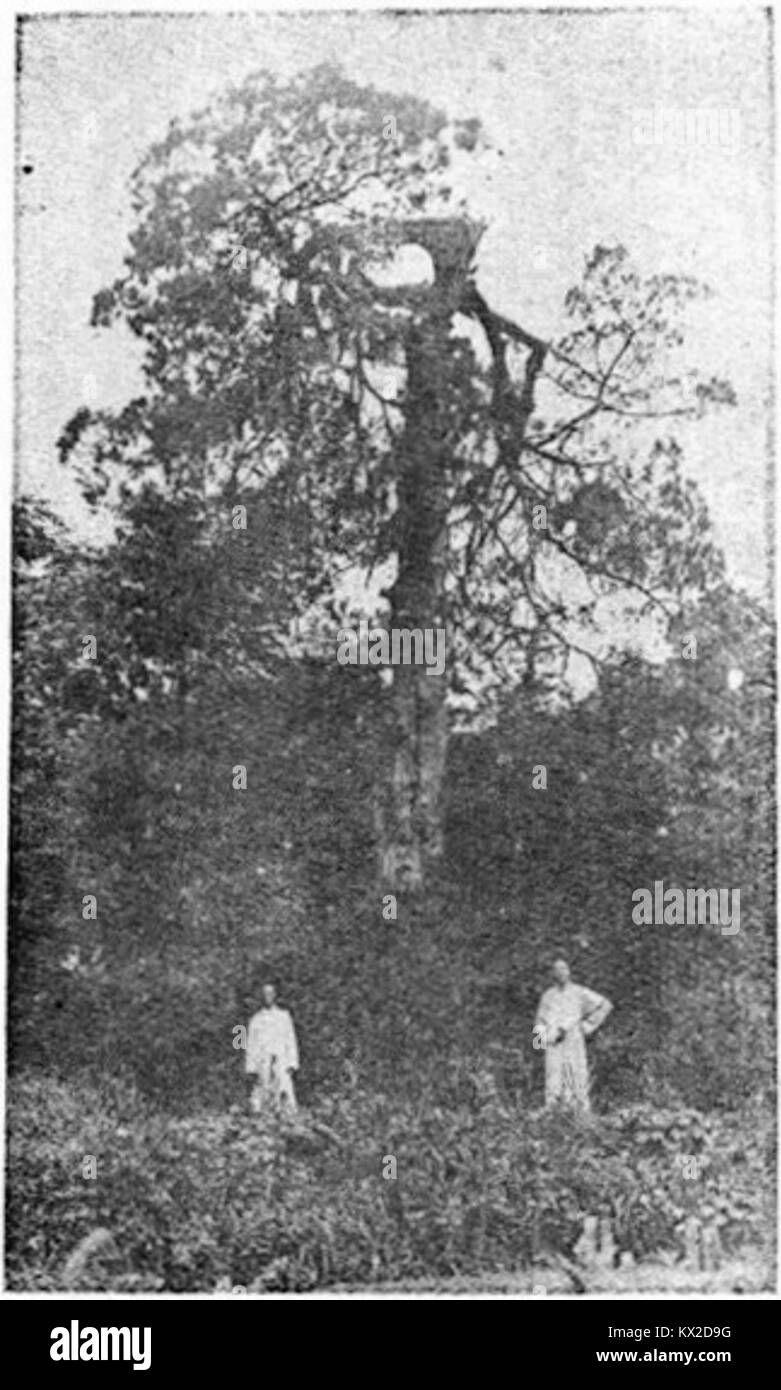 Featuring early campus architecture hi-res stock photography and images ...