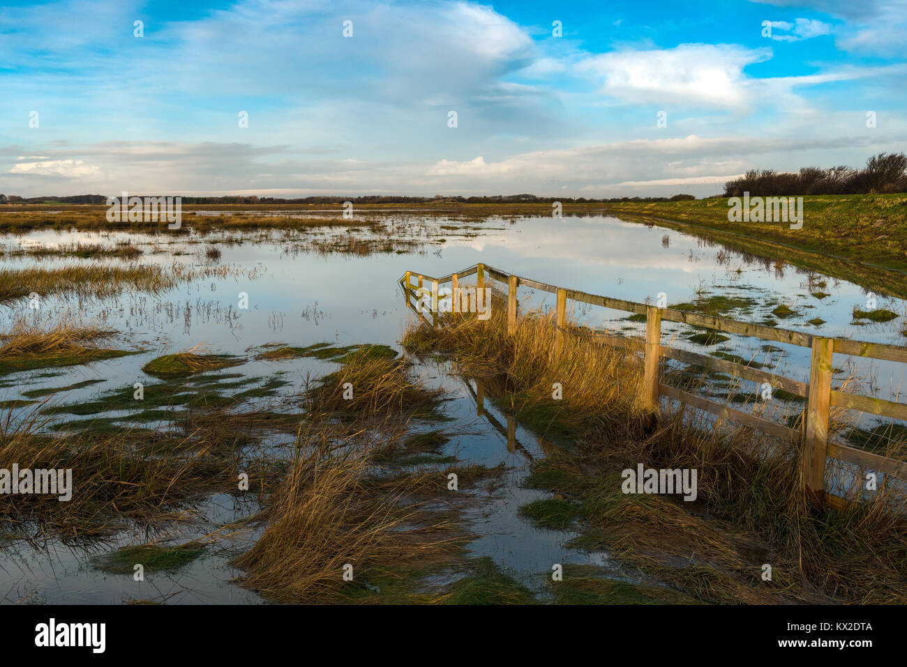 Marsh Gas High Resolution Stock Photography and Images - Alamy