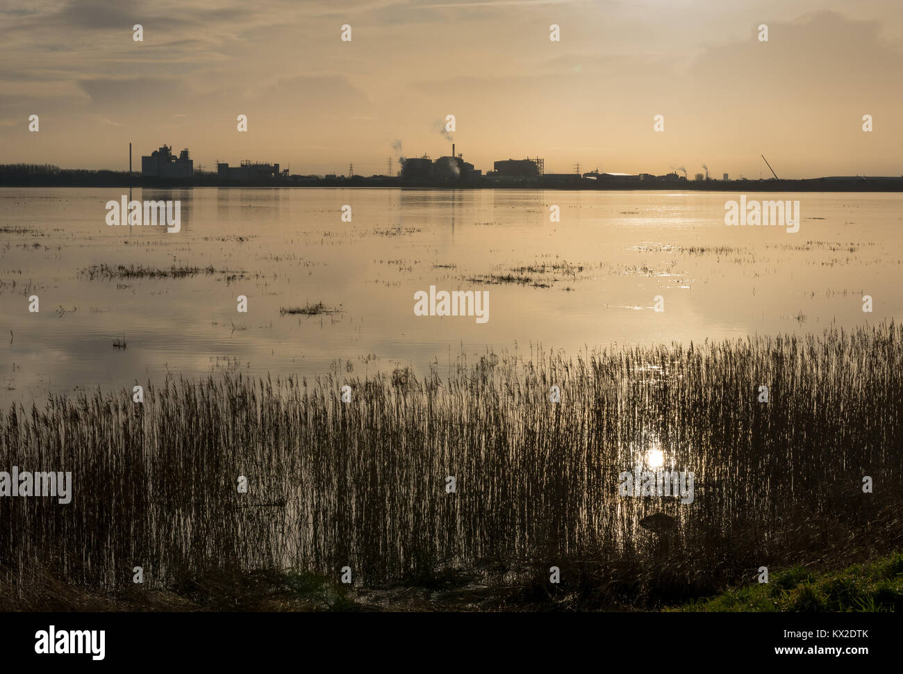 Looking Across the River Wyre Estuary at Burrows Marsh Stock Photo - Alamy