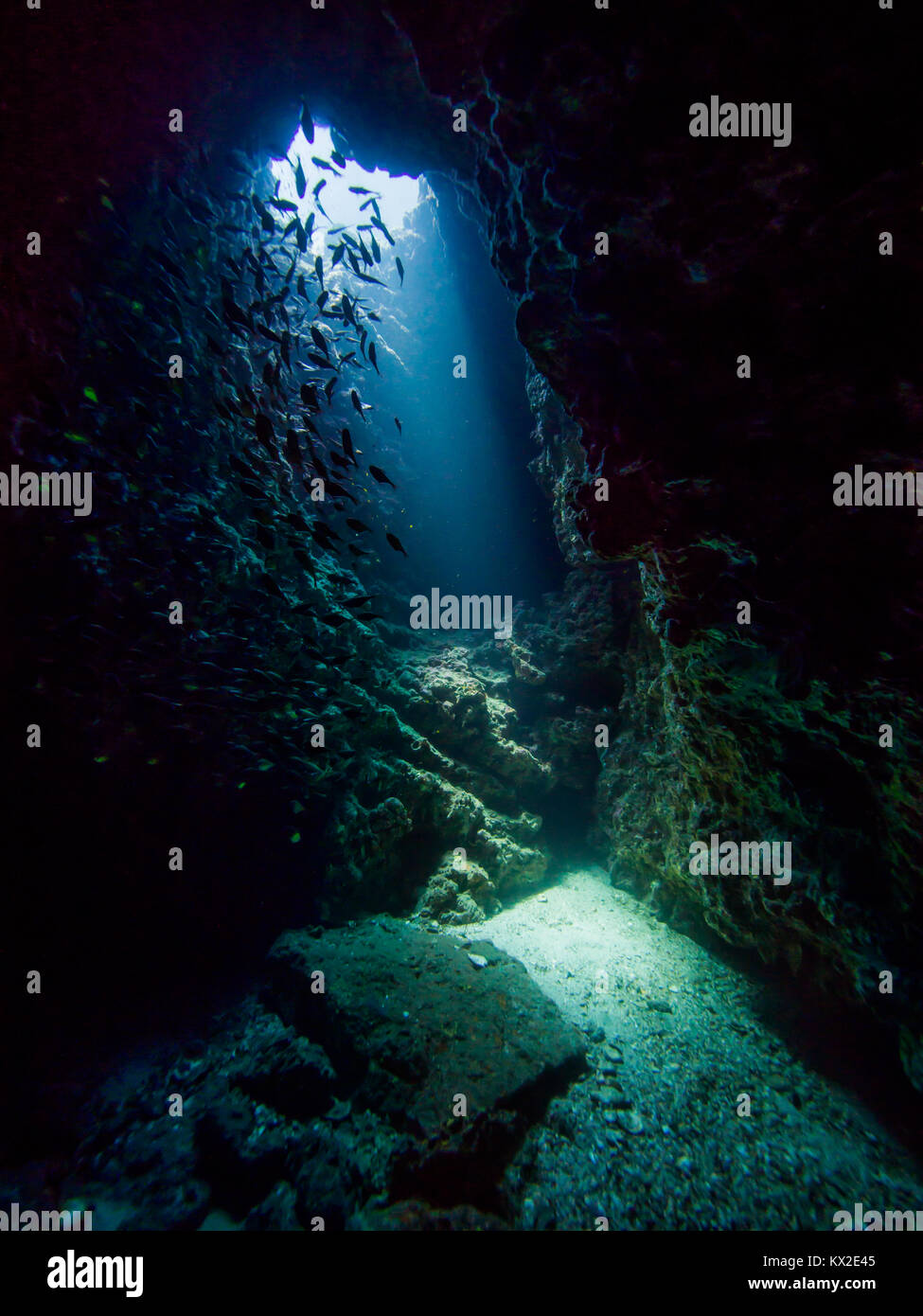 Ko haa hi-res stock photography and images - Alamy