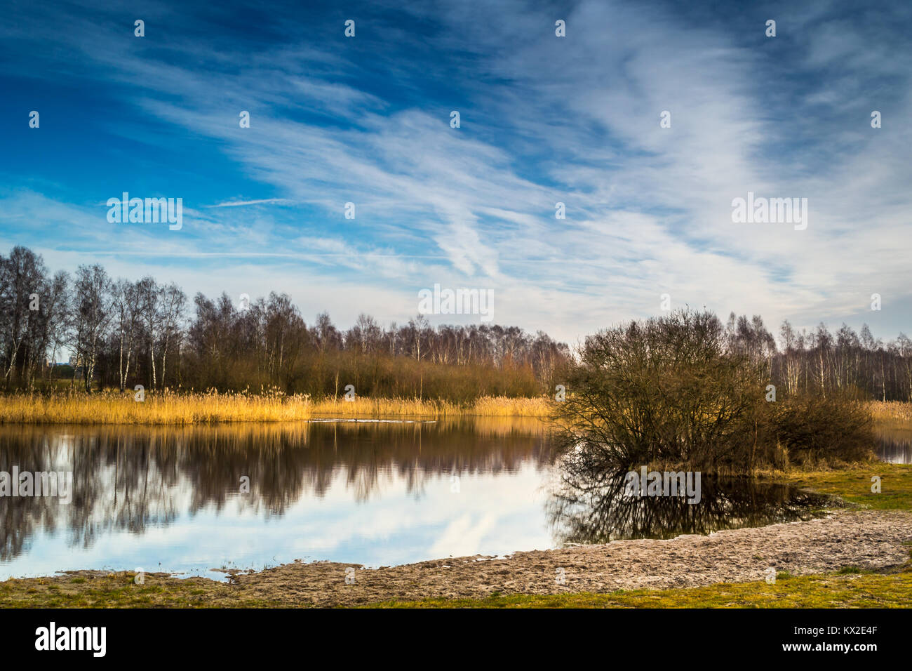 Pond with reflected sky in its water Stock Photo - Alamy