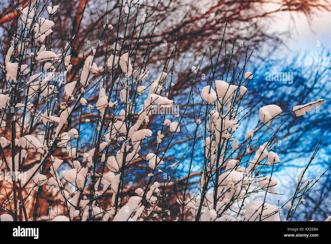 Cold winter snowy landscape at middle of the day Stock Photo - Alamy