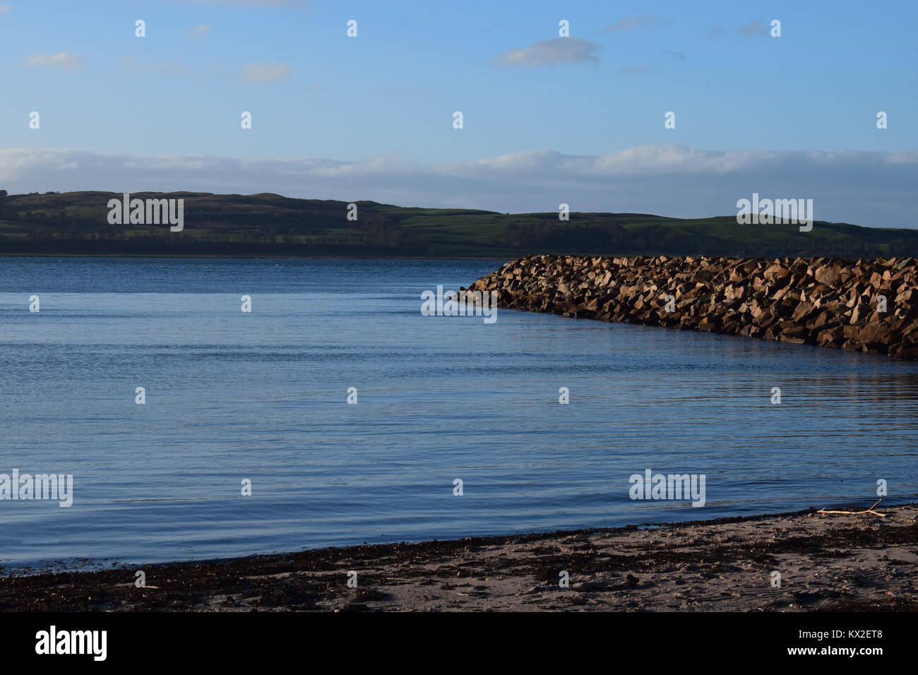 Firth of clyde marine life hi-res stock photography and images - Alamy