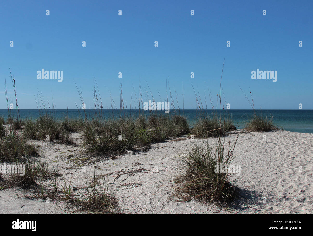 Landscape of the sand dunes and sea at Stump Pass Beach State Park ...