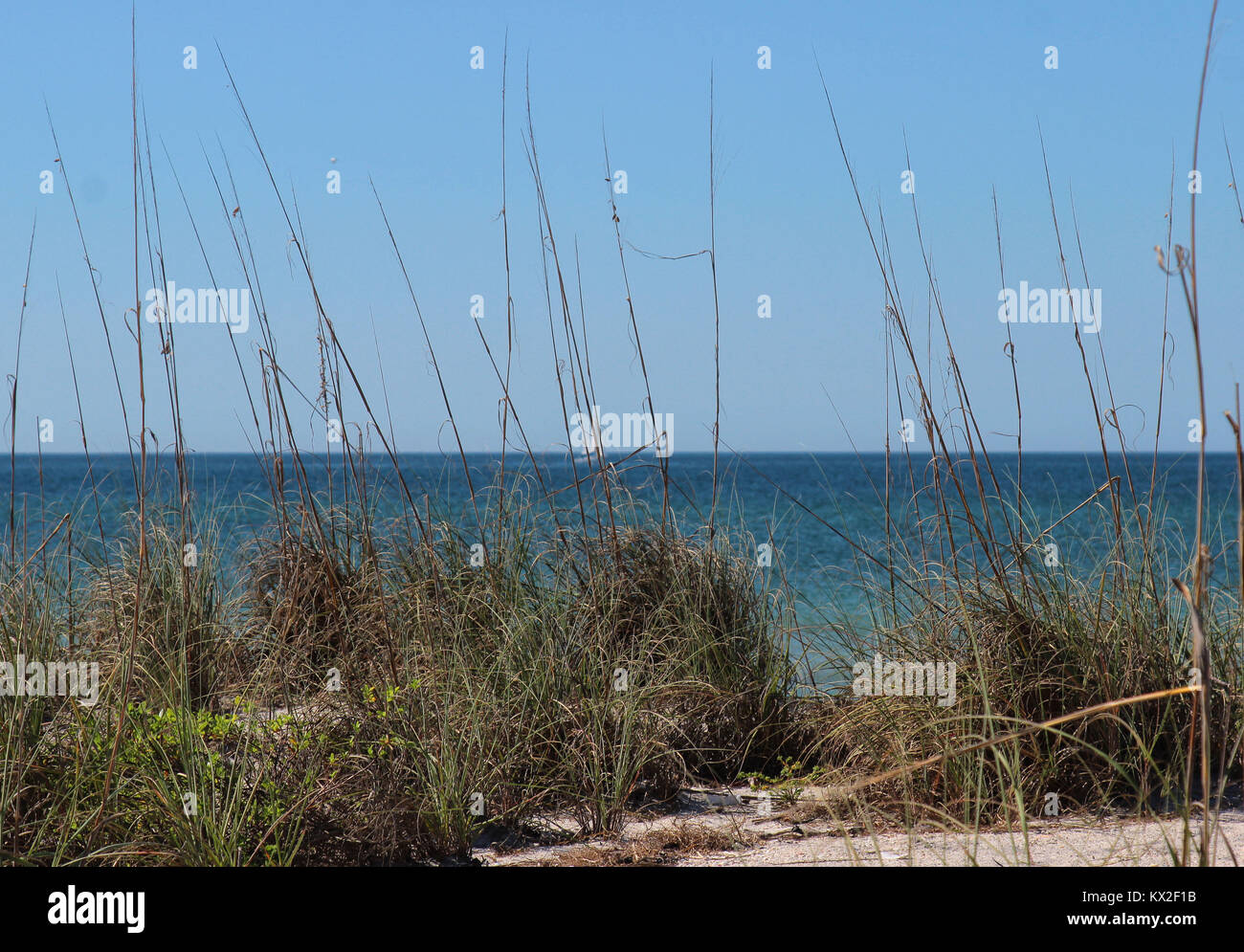 Landscape of the sand dunes and sea at Stump Pass Beach State Park ...