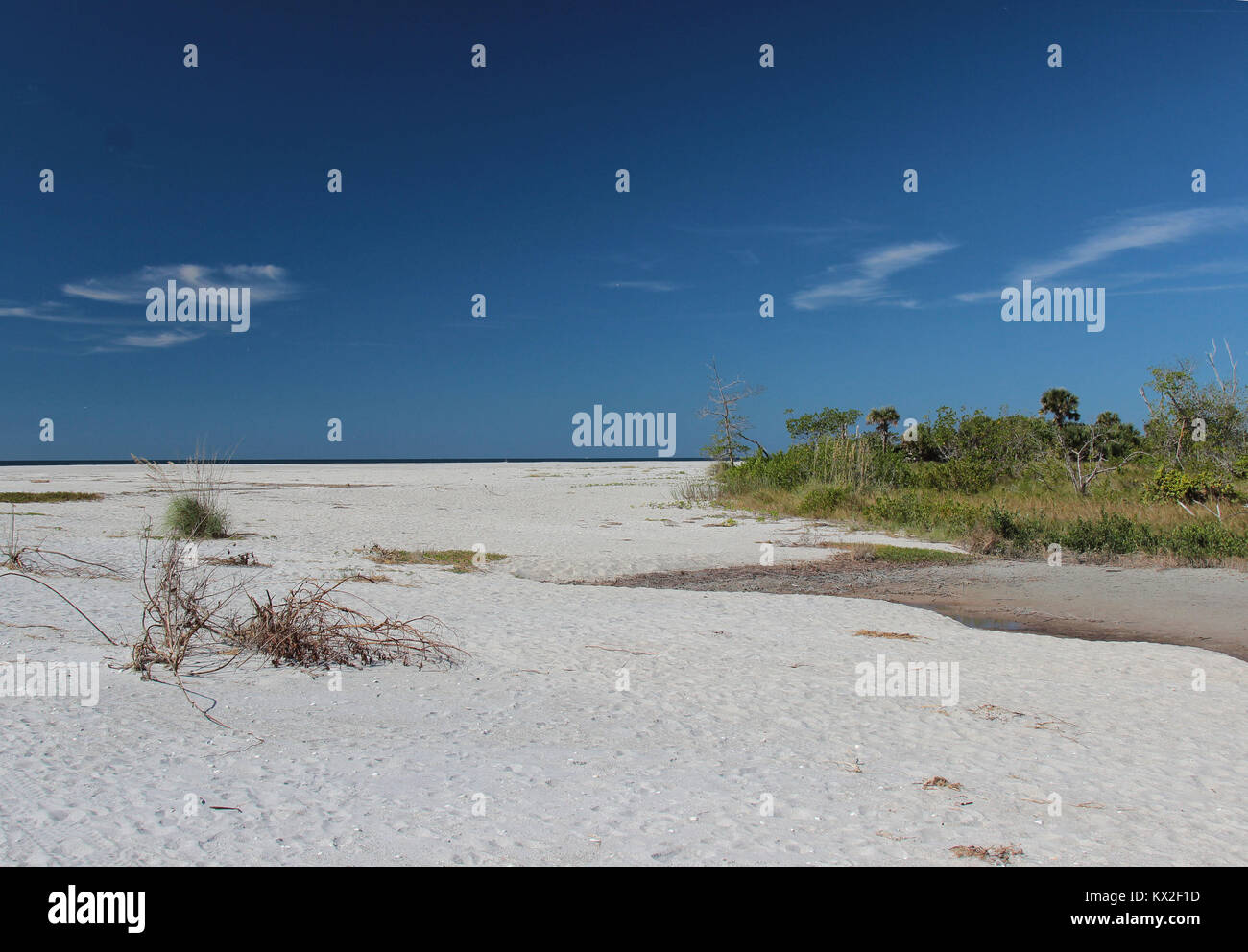 Stump pass state park hi-res stock photography and images - Alamy
