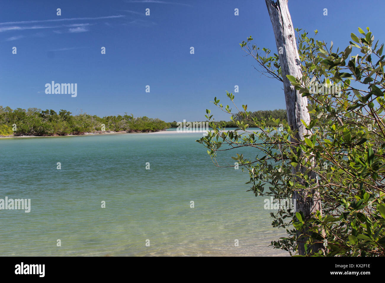 Stump Pass Beach State Park High Resolution Stock Photography and ...
