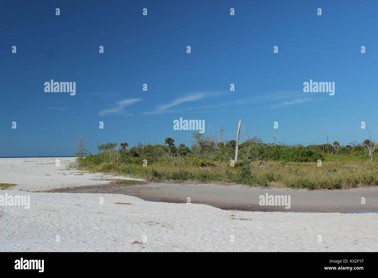Stump Pass Beach State Park Florida Stock Photo - Alamy