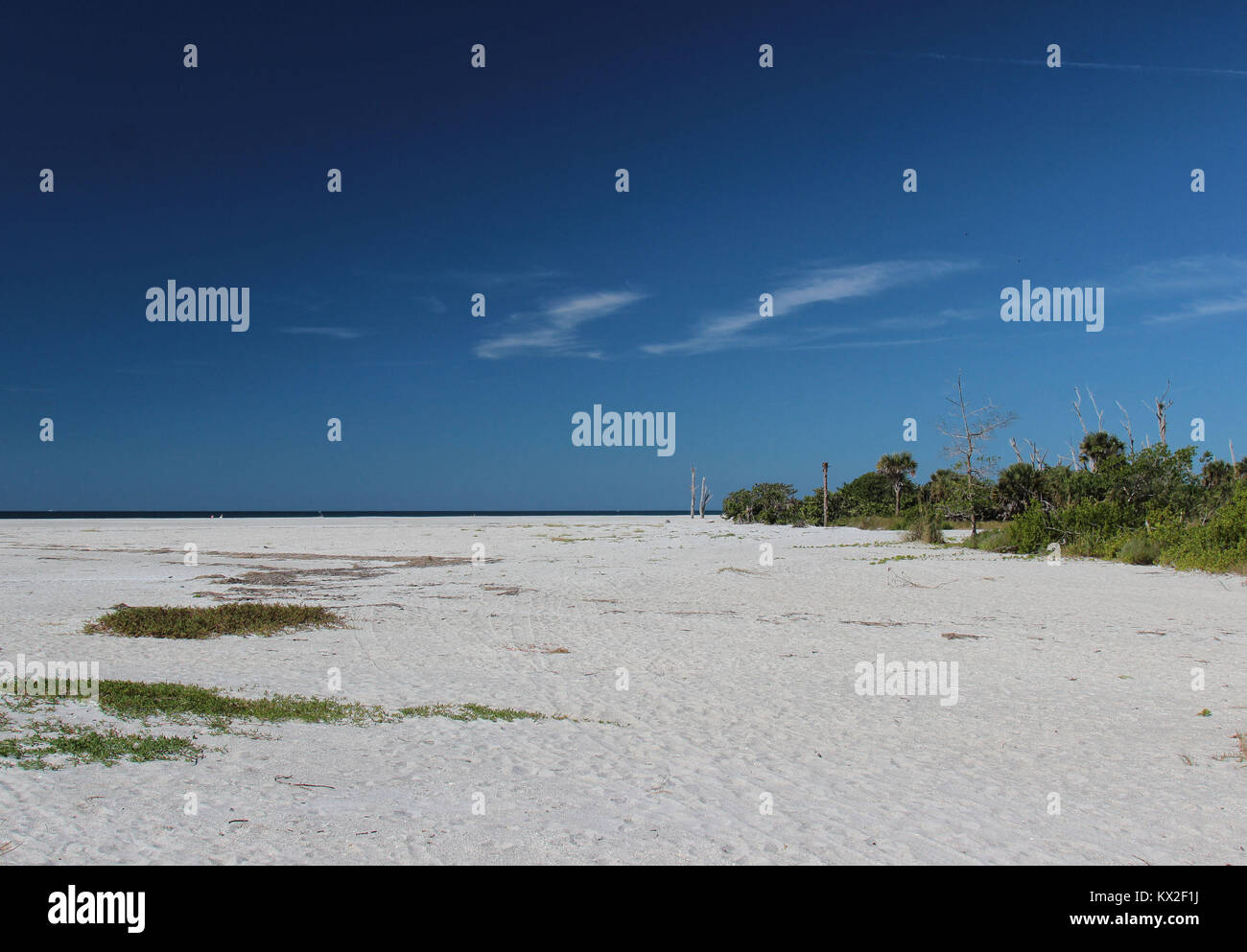 Stump pass state park hi-res stock photography and images - Alamy