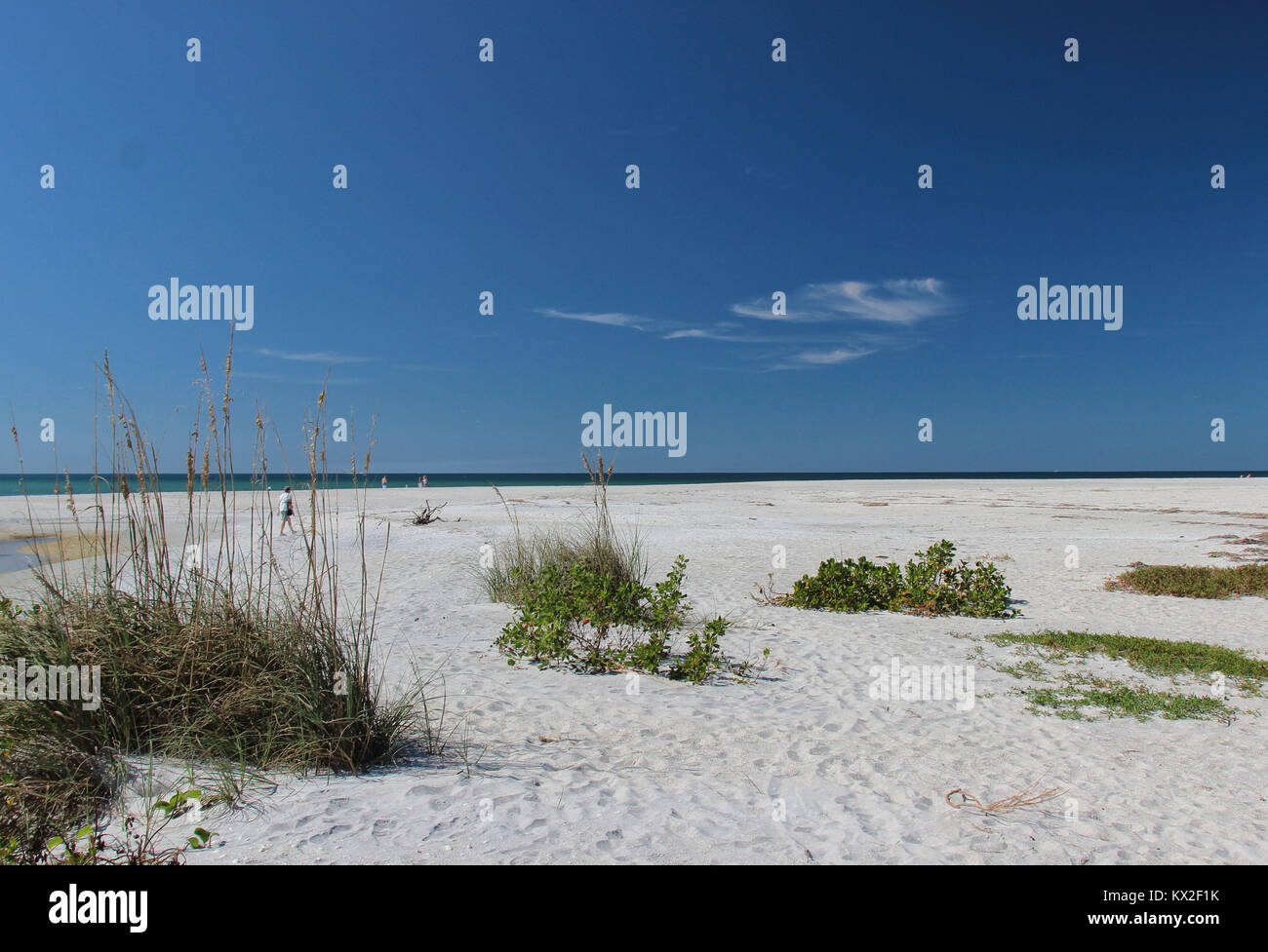 Vast idyllic sandy beach at Stump Pass Beach State Park Florida Stock ...