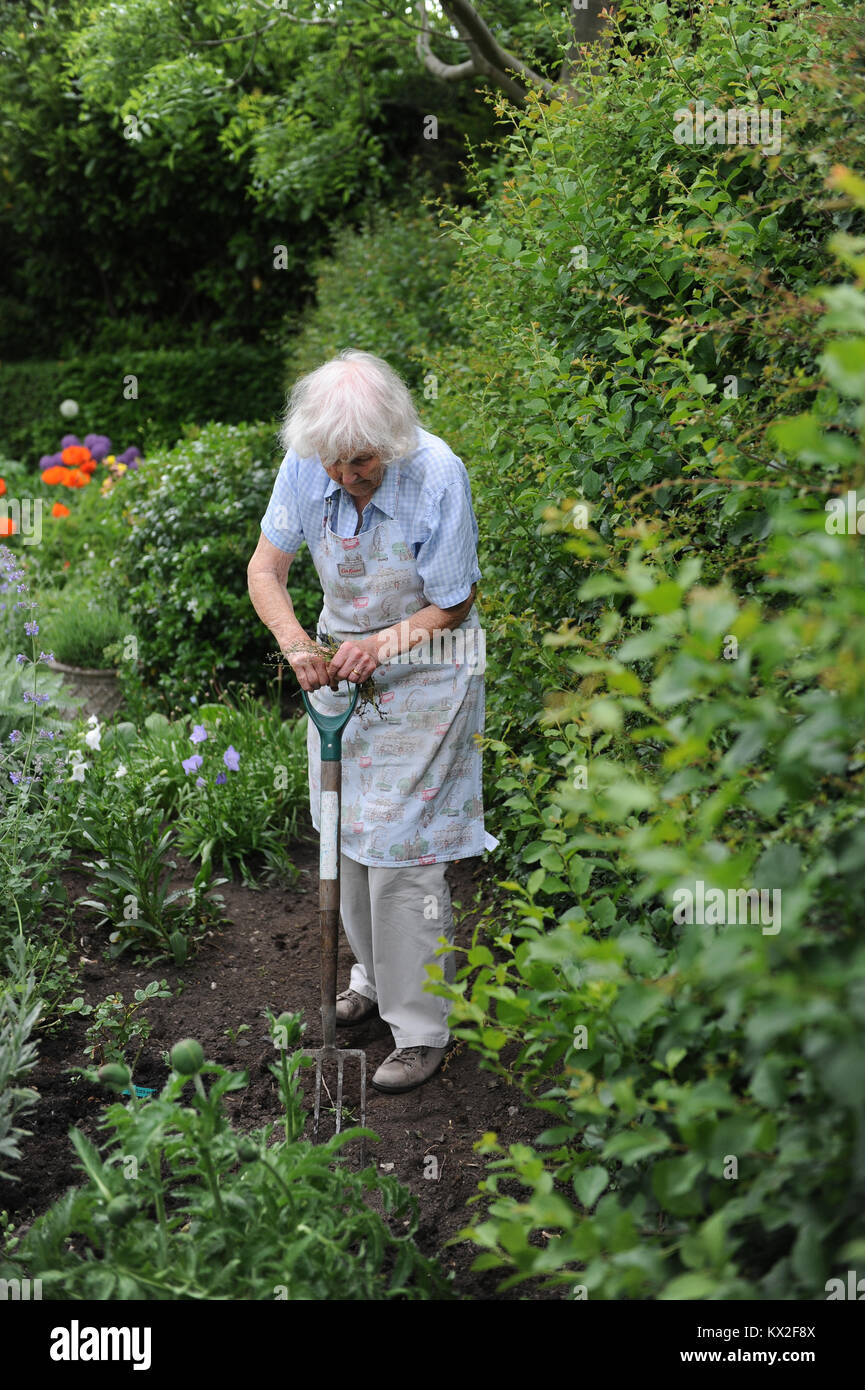 Pinny Stock Photos & Pinny Stock Images - Alamy