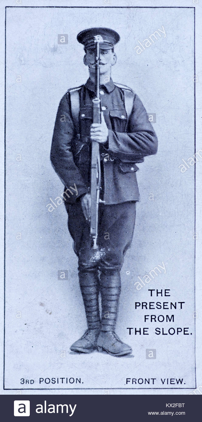 Field Signals - the present from the slope - 3rd position front view ...
