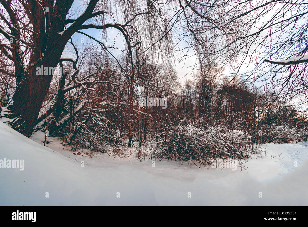 Cold winter snowy landscape at middle of the day Stock Photo - Alamy