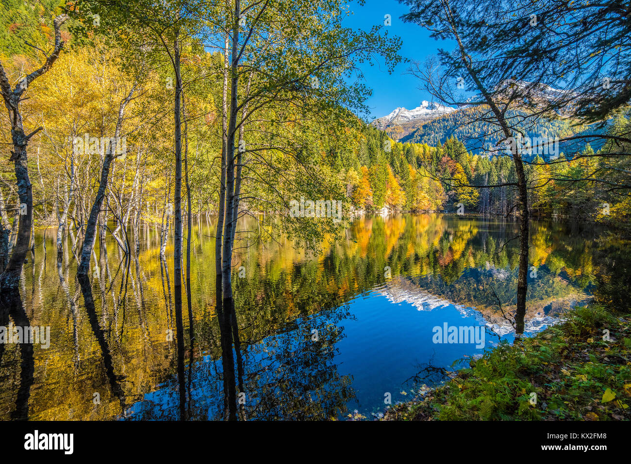 Antillone hi-res stock photography and images - Alamy