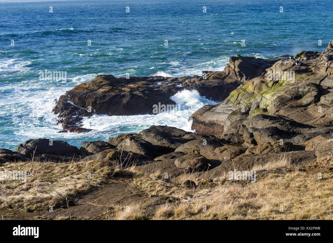 Boiler Bay Wayside Depot Bay Oregon United States. Low tide exposes ...
