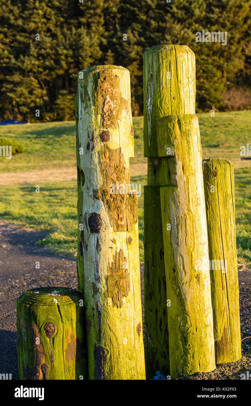 Set of fence post or pilings at a roadside pull off on the Oregon Coast ...