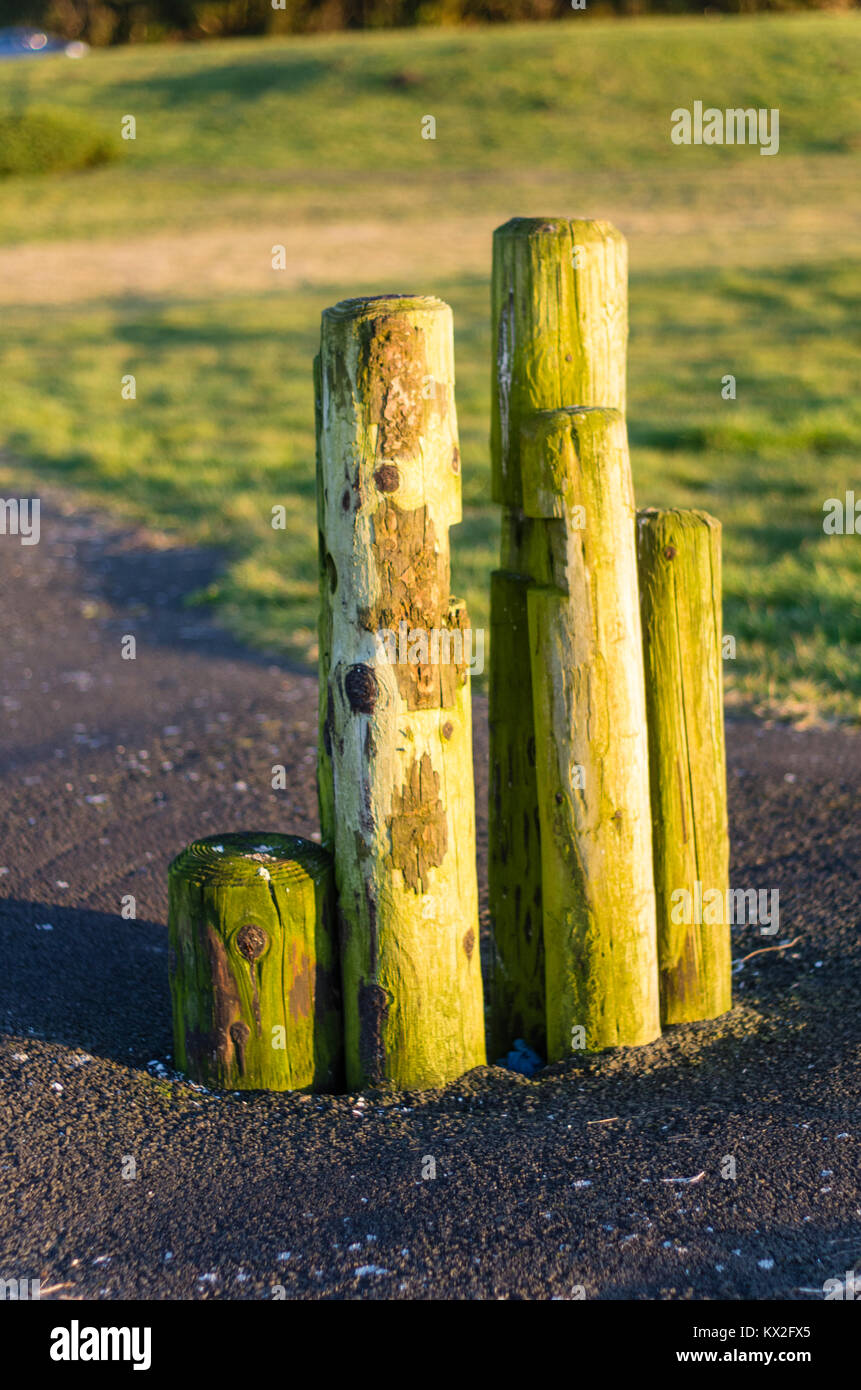 Wayside grass hi-res stock photography and images - Alamy