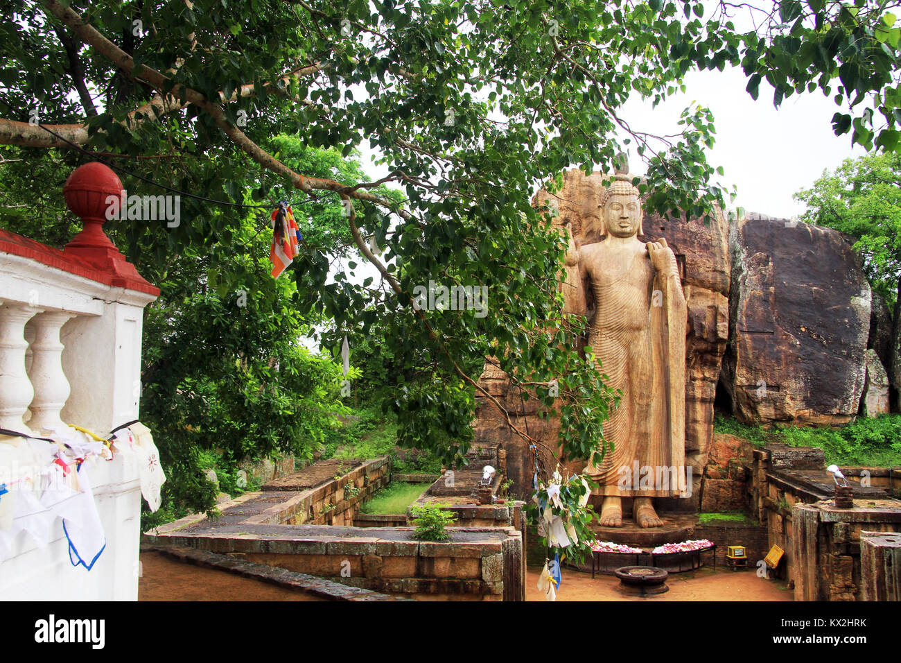 Buddha stone bodhi tree hi-res stock photography and images - Alamy