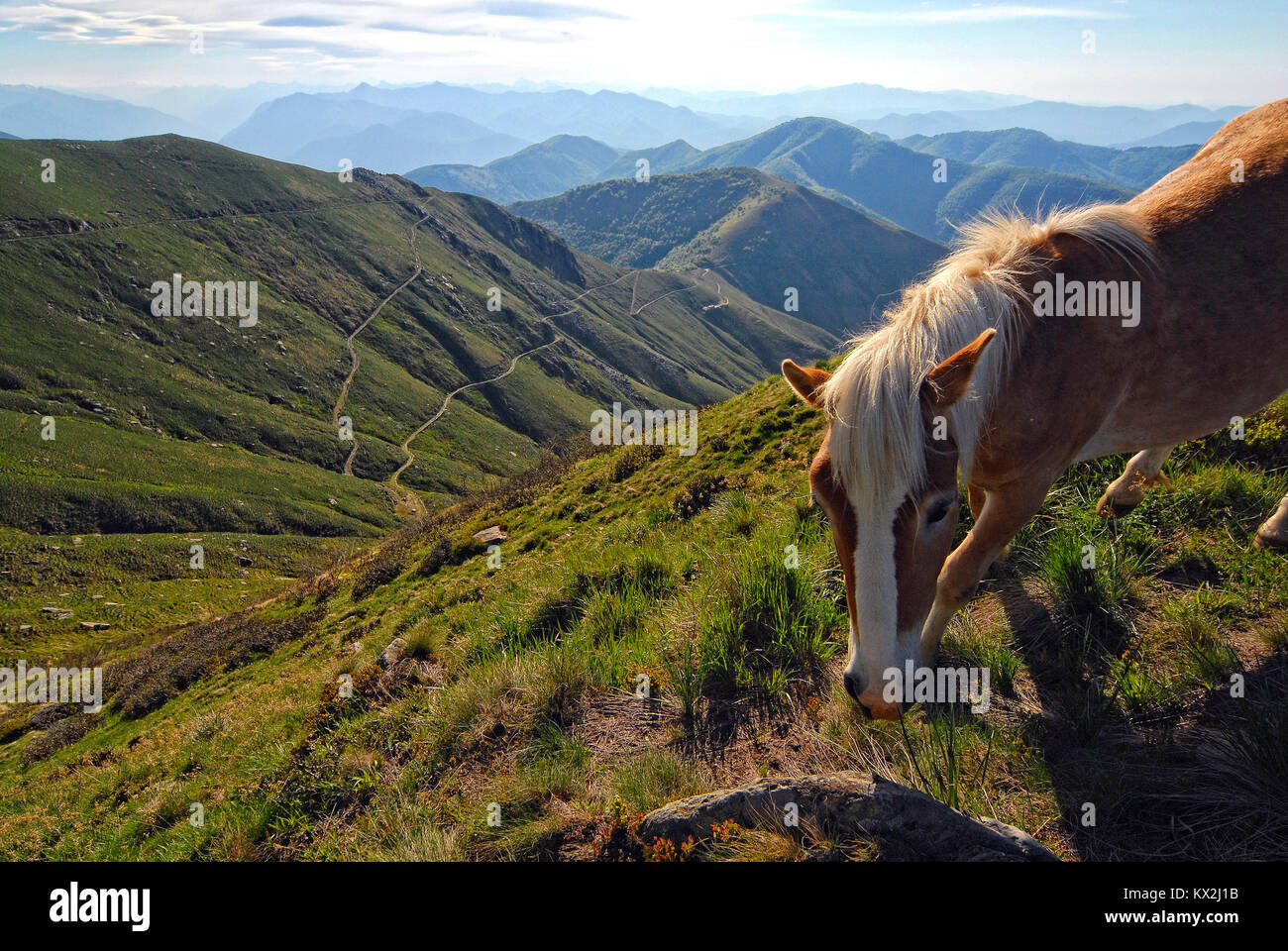 Italy Piedmont Val Grande Linea Cadorna Stock Photo - Alamy