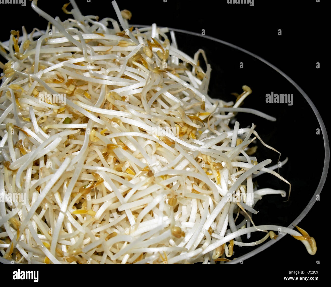 Bean shoots hi-res stock photography and images - Alamy