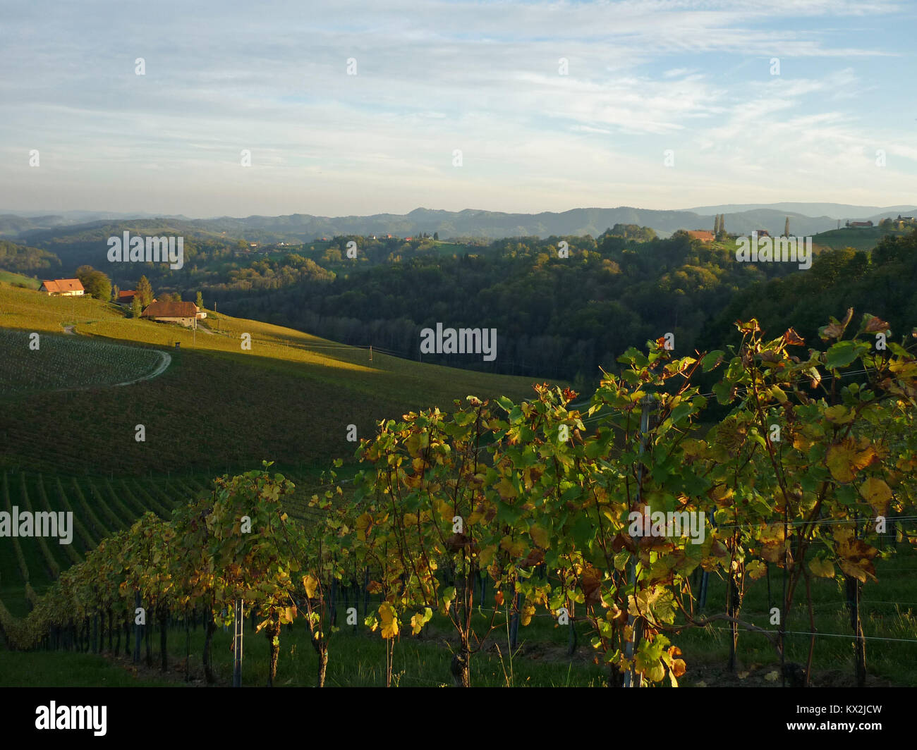 Styrian Wine Route near Gamlitz, Styria, Austria, at sunset Stock Photo ...