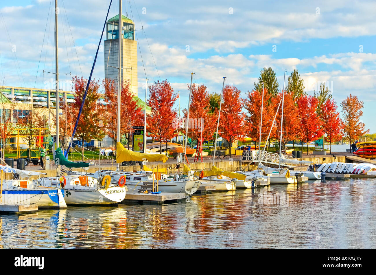 Fall trees in downtown toronto hi-res stock photography and images - Alamy