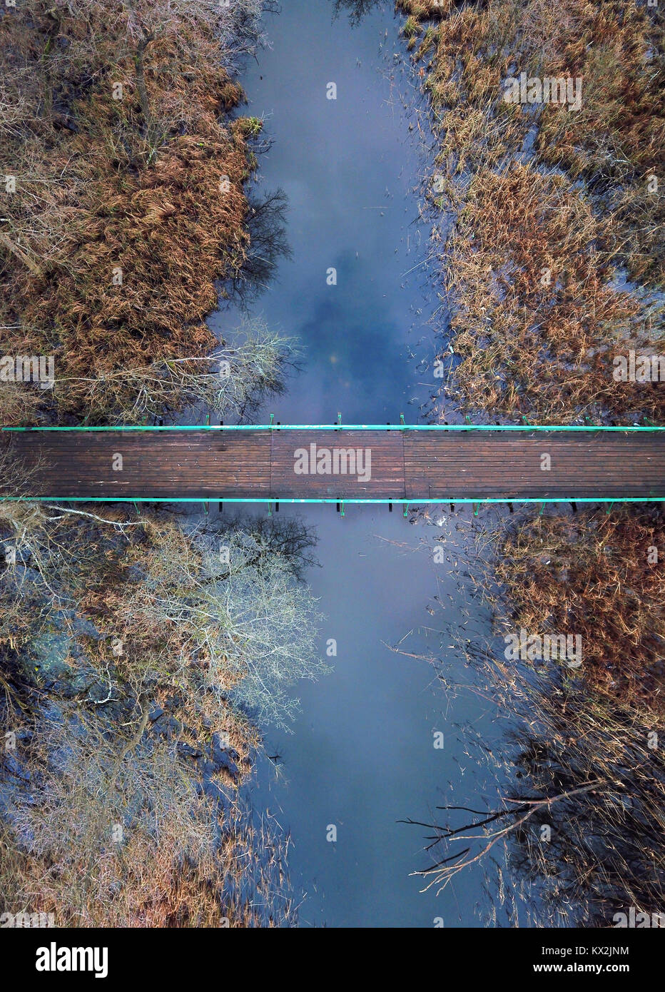 Wood bridge path on a river beteveen cane edge, zerial drone shot Stock ...