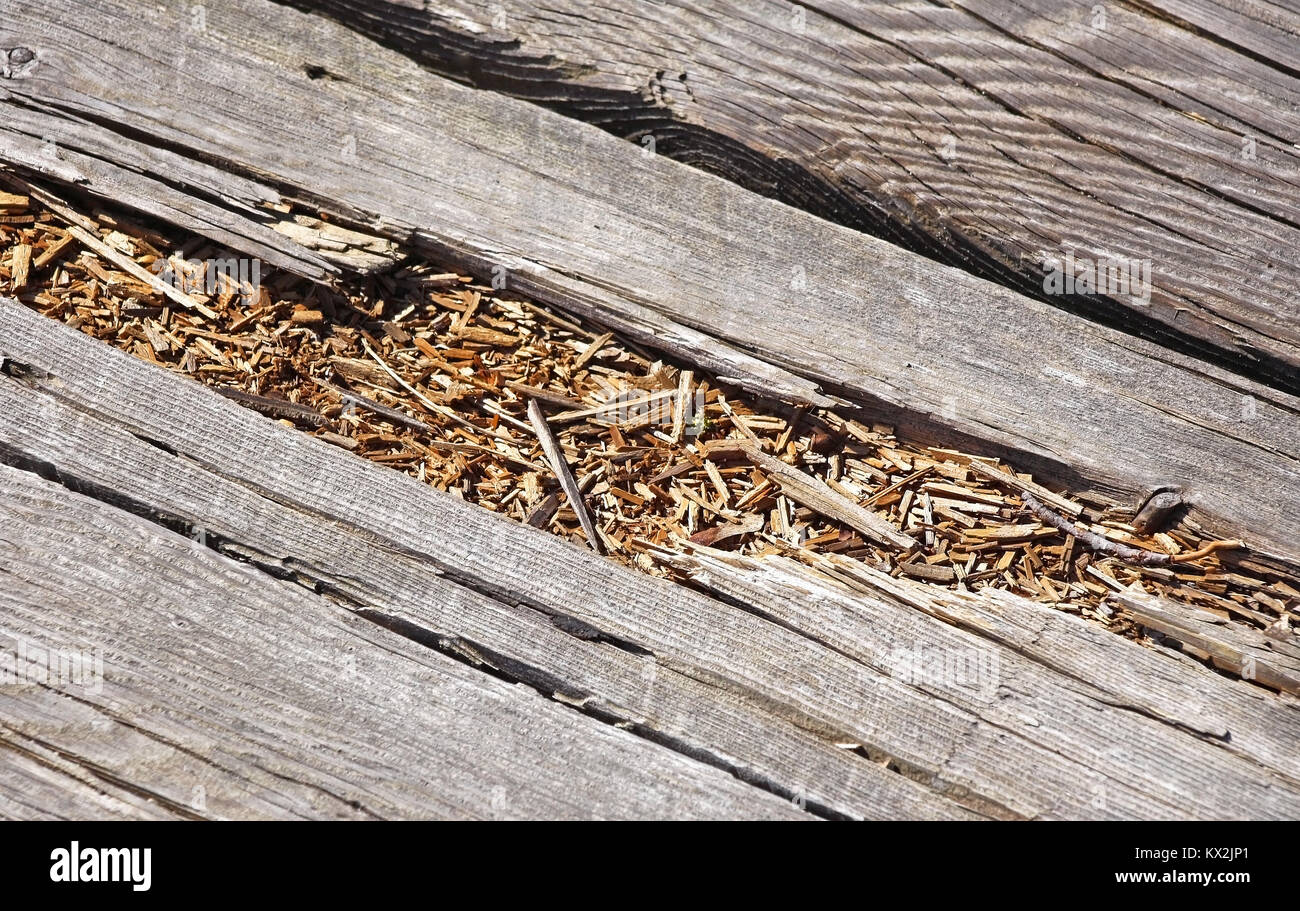 Rotted wood on boardwalk path Stock Photo - Alamy