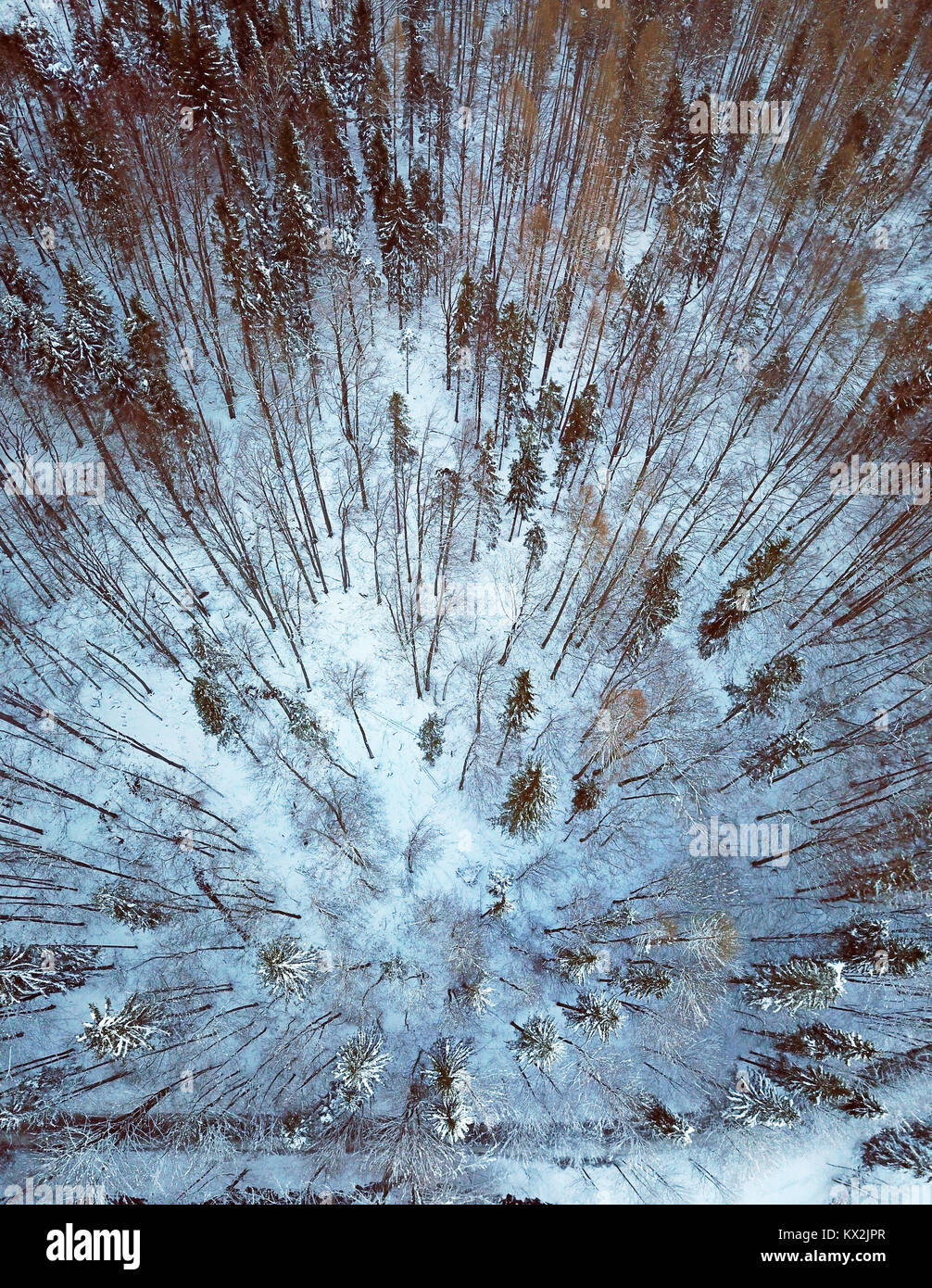 Aerial drone shot forest mountains hi-res stock photography and images ...