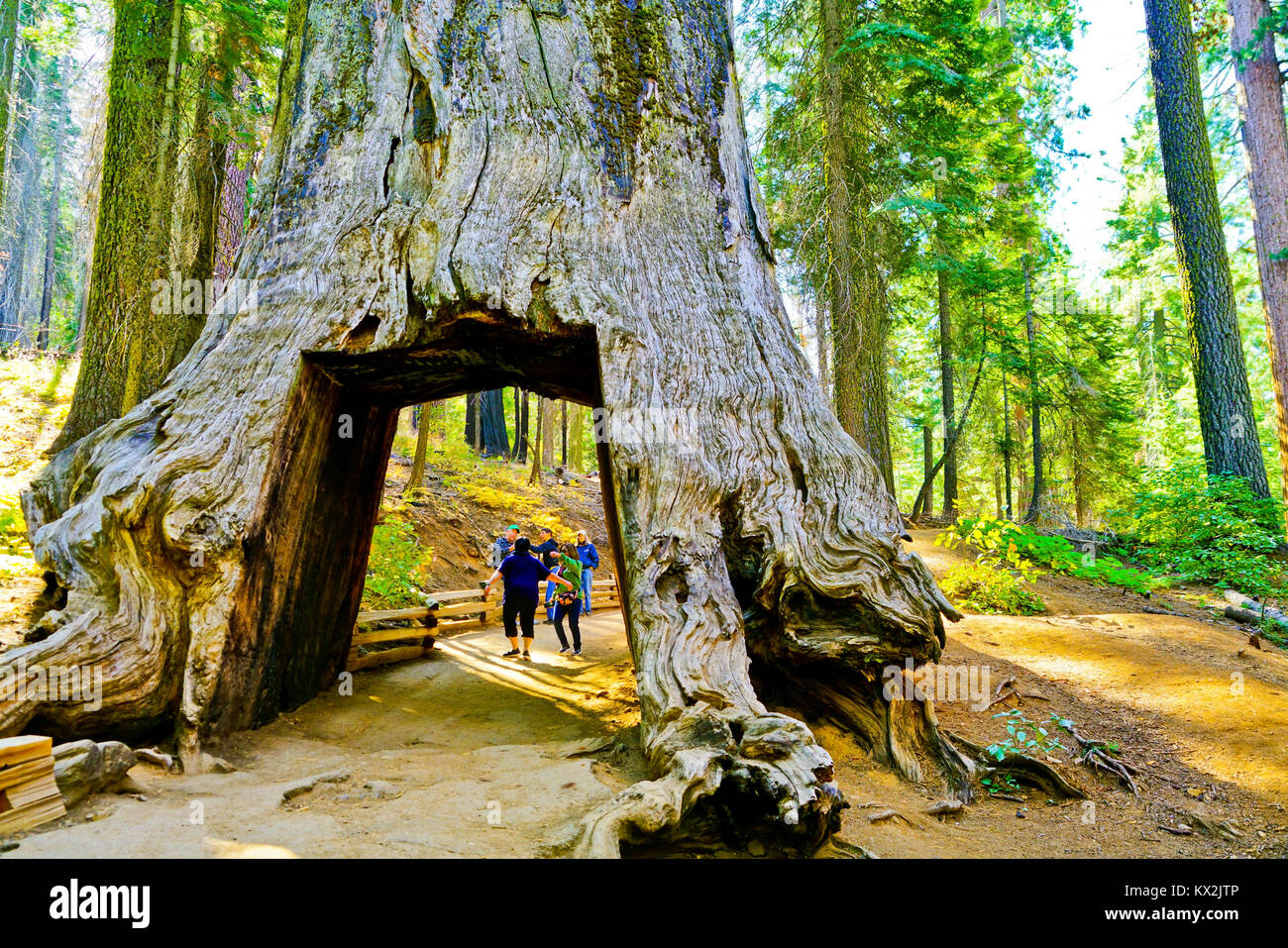Yosemite National Park, USA- October 10, 2017 : View of the dead tunnel ...