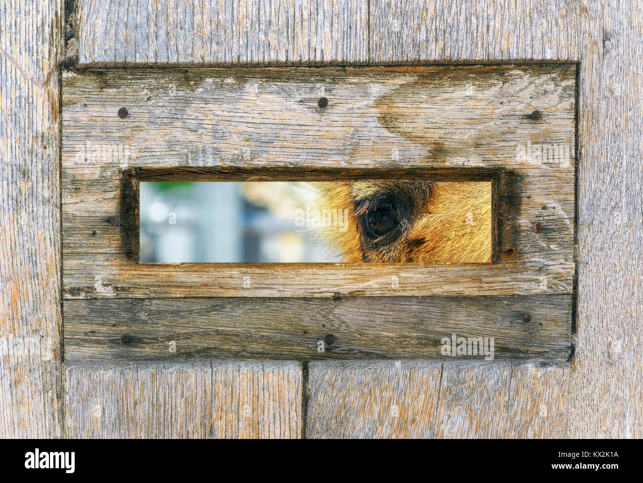Looking through peephole hi-res stock photography and images - Alamy