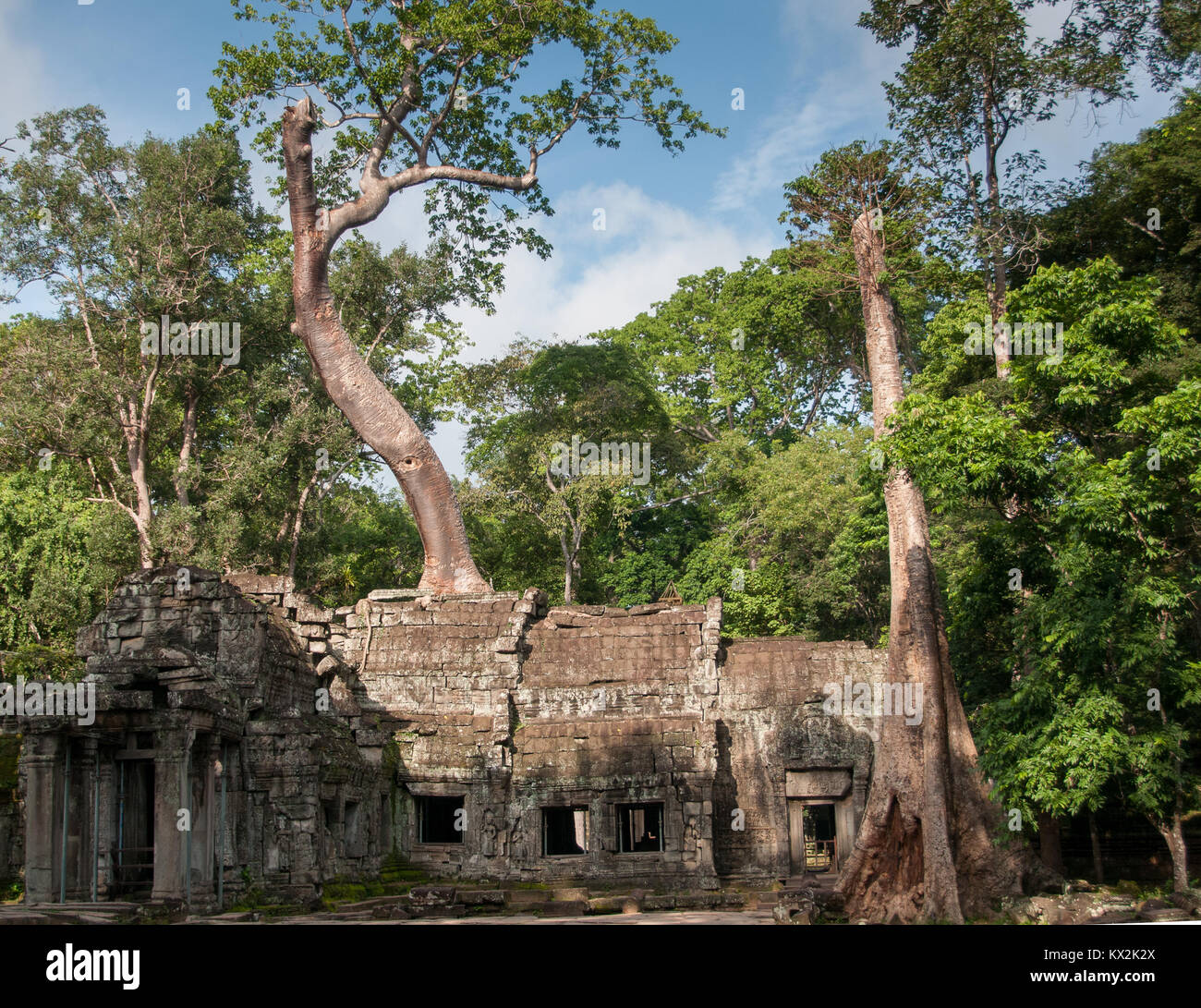 Ta Prohm Temple Stock Photo - Alamy