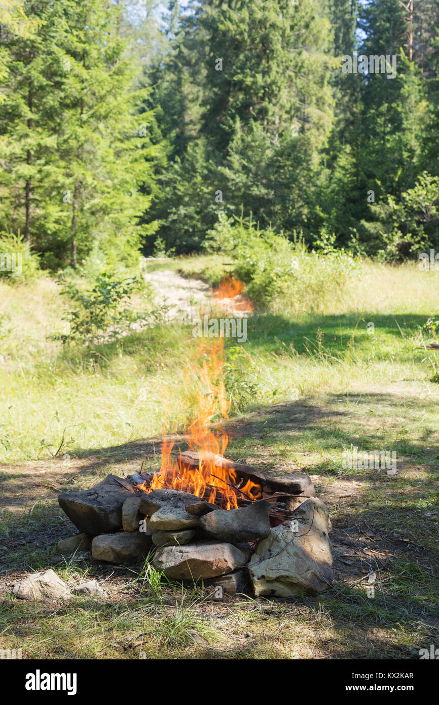 Bonfire in a forest glade Stock Photo - Alamy